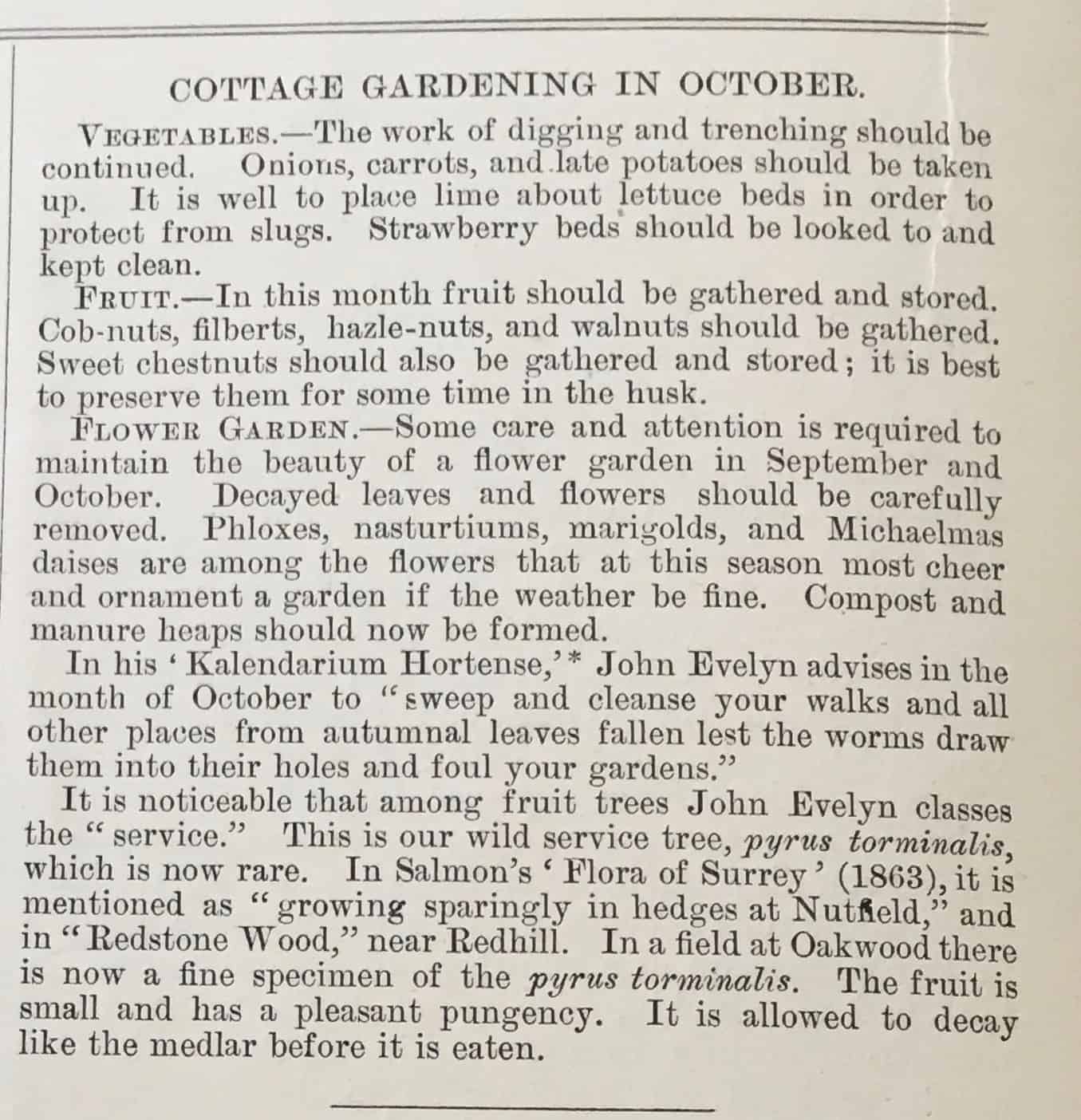 1889 10 42 Abinger Record October 1889 Page 42 - Dorking Museum ...