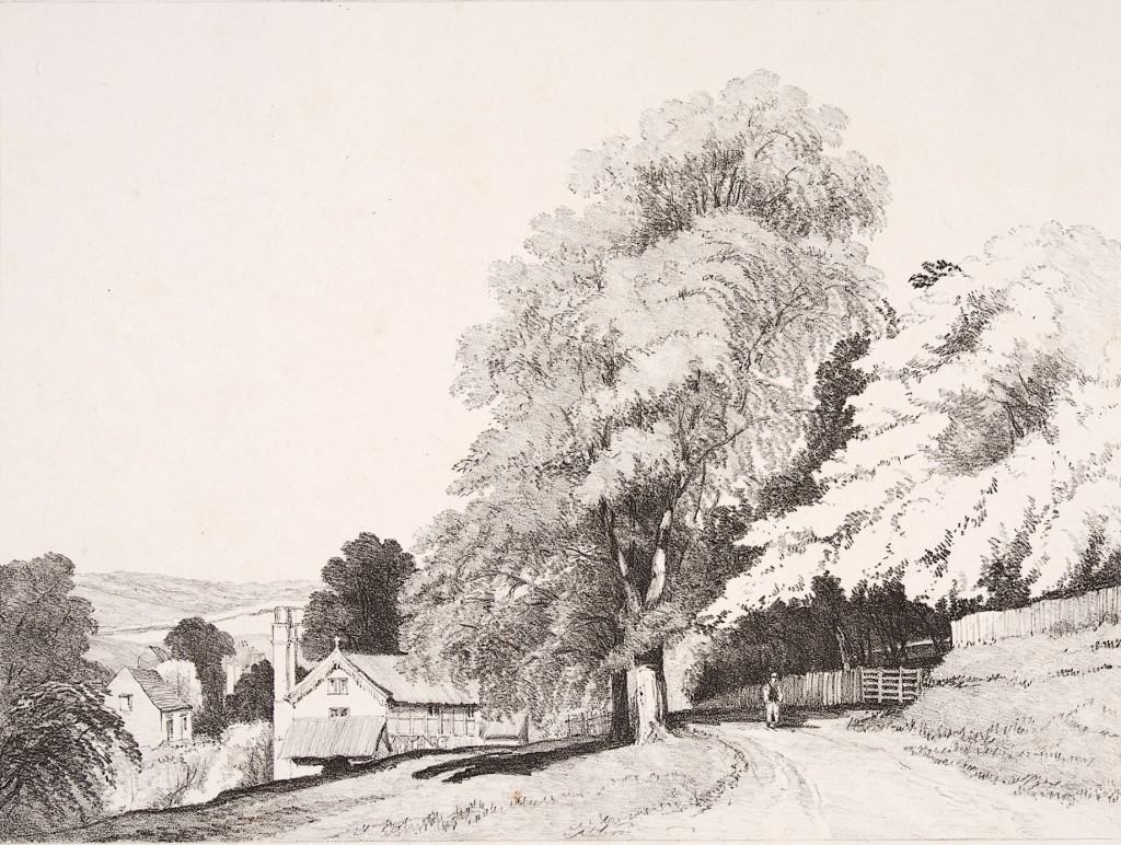 JD Harding, Milton Street, Westcott - Dorking Museum & Heritage Centre