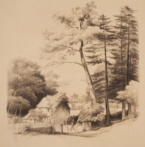 JD Harding, Milton Street, Westcott - Dorking Museum & Heritage Centre