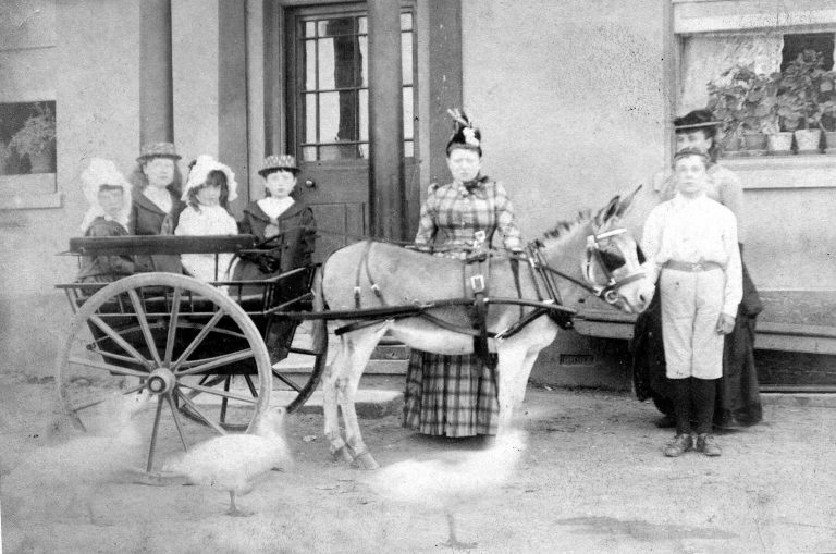 The Changing Roles of Women in WW1