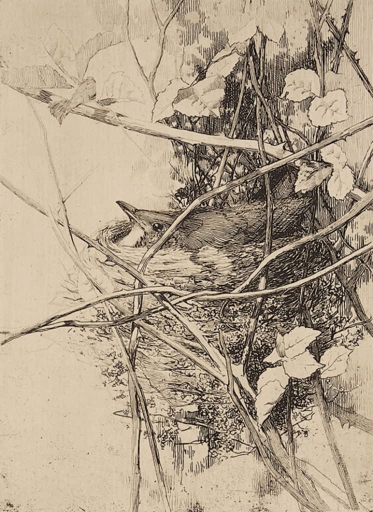 George Edward Collins - Dorking Museum & Heritage Centre