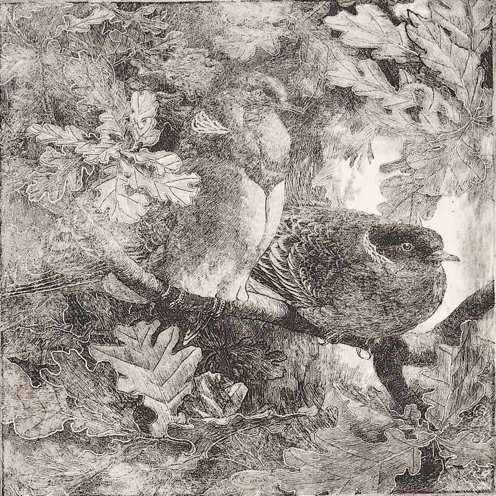 George Edward Collins - Dorking Museum & Heritage Centre