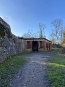Box Hill Fort. Photograph © Joanna van der Lande - Dorking Museum ...