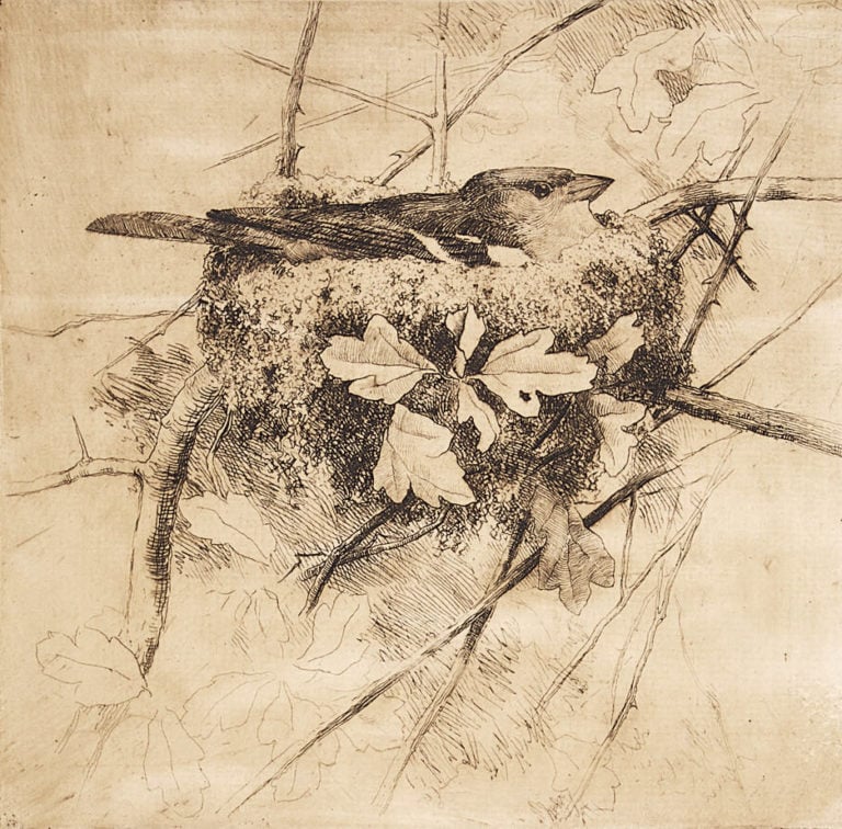 George Edward Collins - Dorking Museum & Heritage Centre