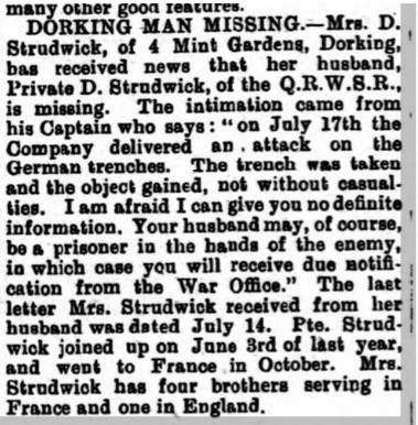 David Strudwick. Dorking Soldier. WW1