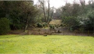 The Deepdene Trial and Hope Springs Eternal Project