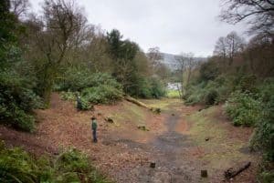 The Deepdene Trial and Hope Springs Eternal Project