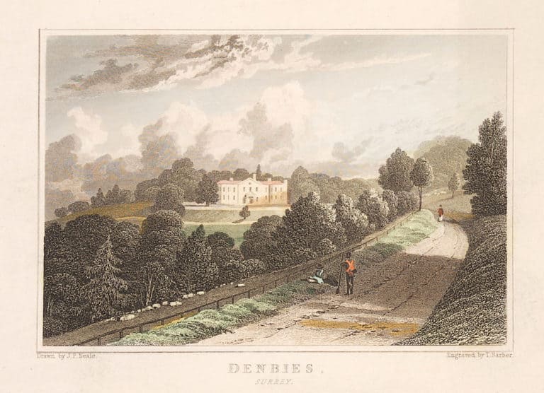 Lord Ashcombe's Minerals Exhibition - Denbies