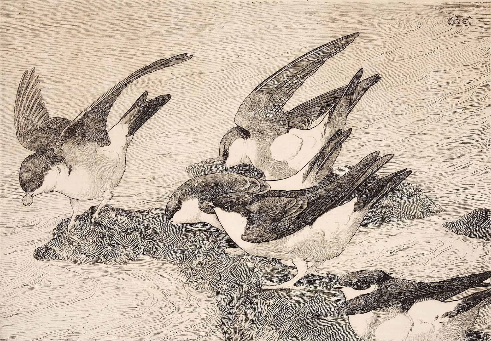 George Edward Collins - Dorking Museum & Heritage Centre