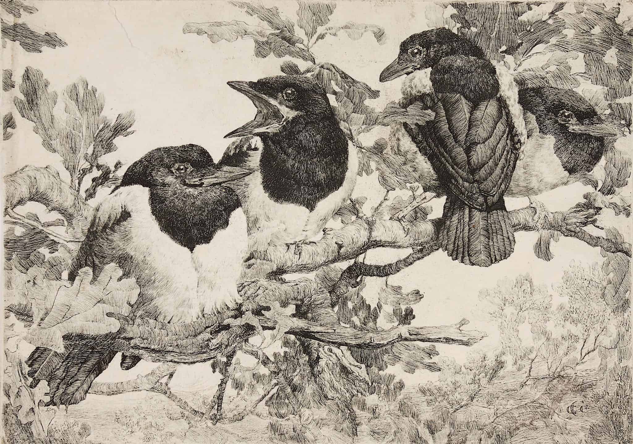 George Edward Collins - Dorking Museum & Heritage Centre