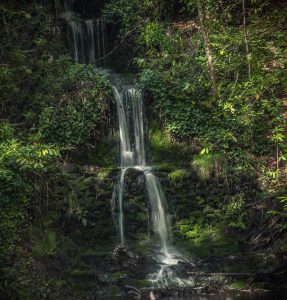 Image No. 24 - Tillingbourne Waterfall © Jayne Kemp - Dorking Museum ...