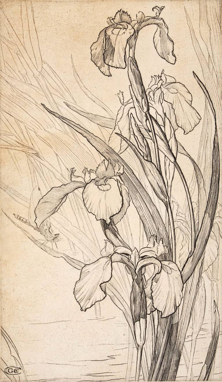 George Edward Collins - Dorking Museum & Heritage Centre