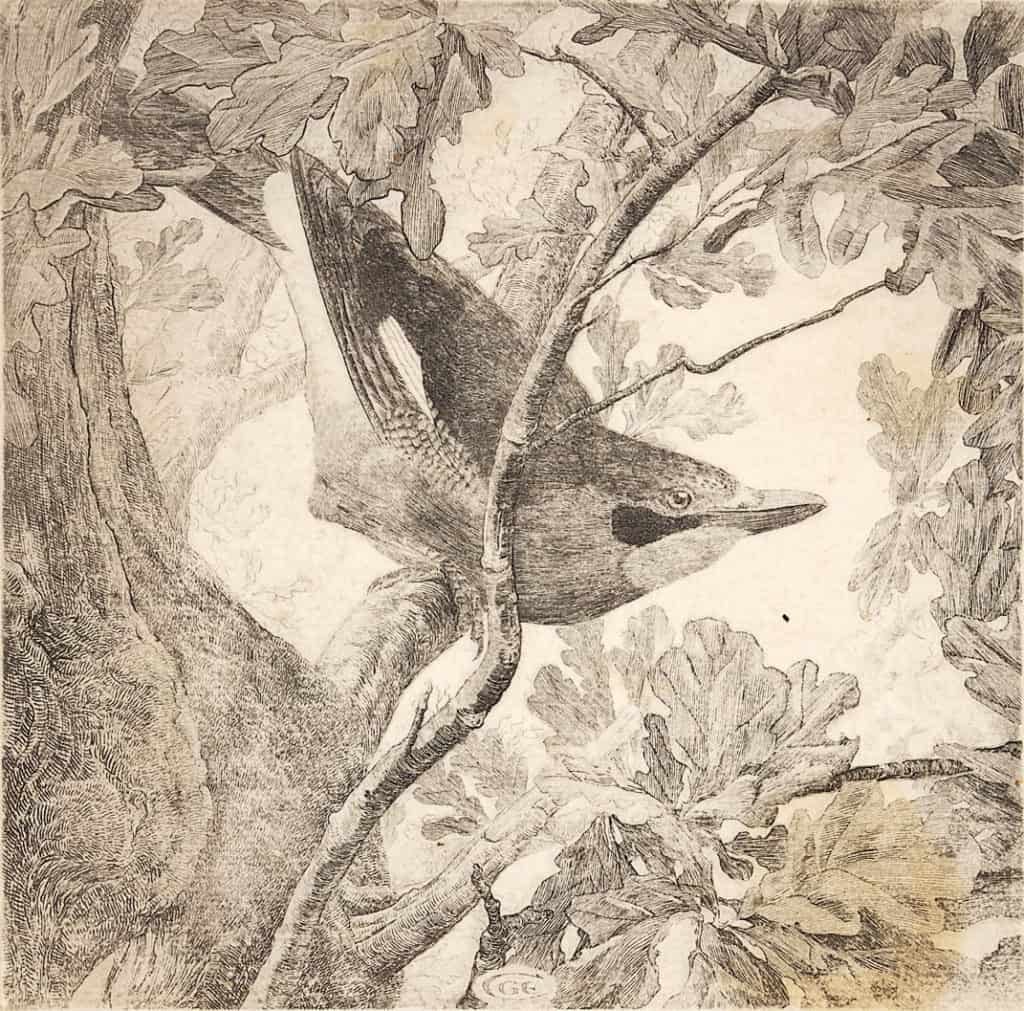 George Edward Collins - Dorking Museum & Heritage Centre