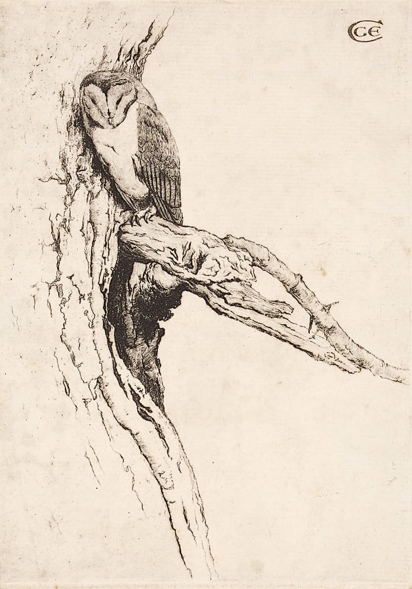 George Edward Collins - Dorking Museum & Heritage Centre