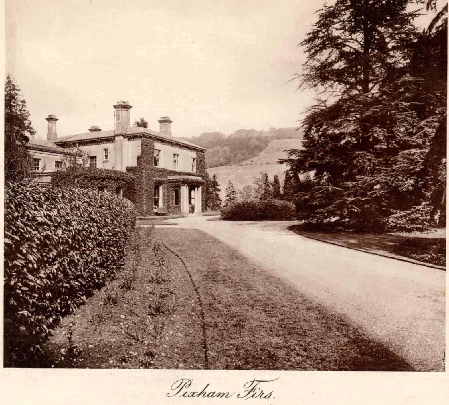 Pixham Firs circa 1922 © Dorking Museum - Dorking Museum & Heritage Centre
