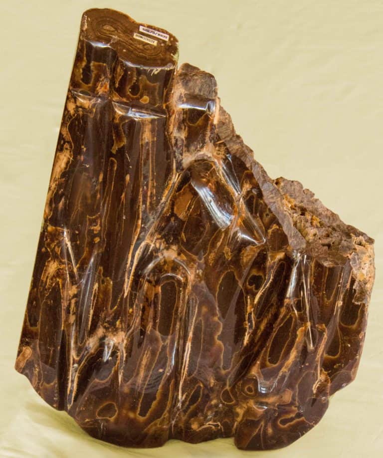 Lord Ashcombe's Minerals. Dorking Museum Exhibition