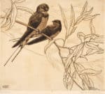 George Edward Collins - Dorking Museum & Heritage Centre