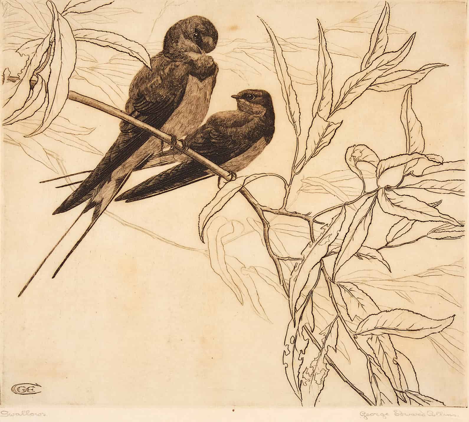 George Edward Collins - Dorking Museum & Heritage Centre