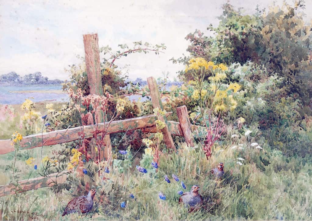 George Edward Collins - Dorking Museum & Heritage Centre