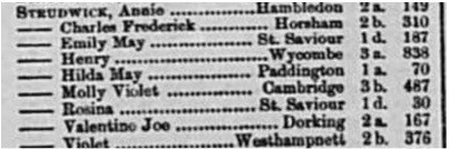 Private Valentine Joe Strudwick. 15 year old Dorking Soldier