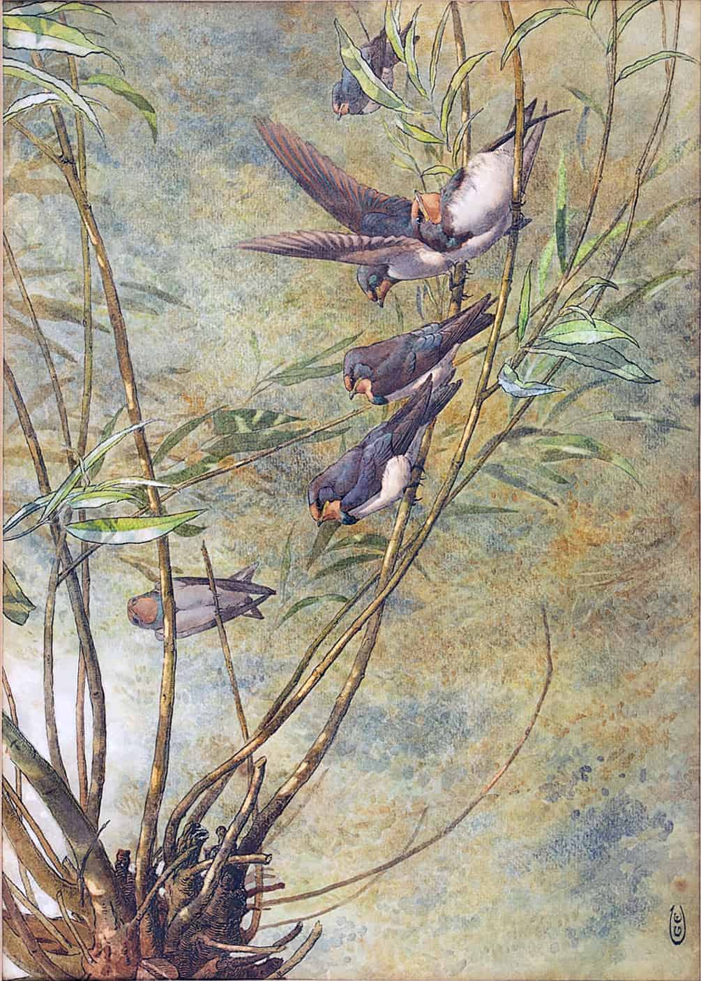 George Edward Collins - Dorking Museum & Heritage Centre