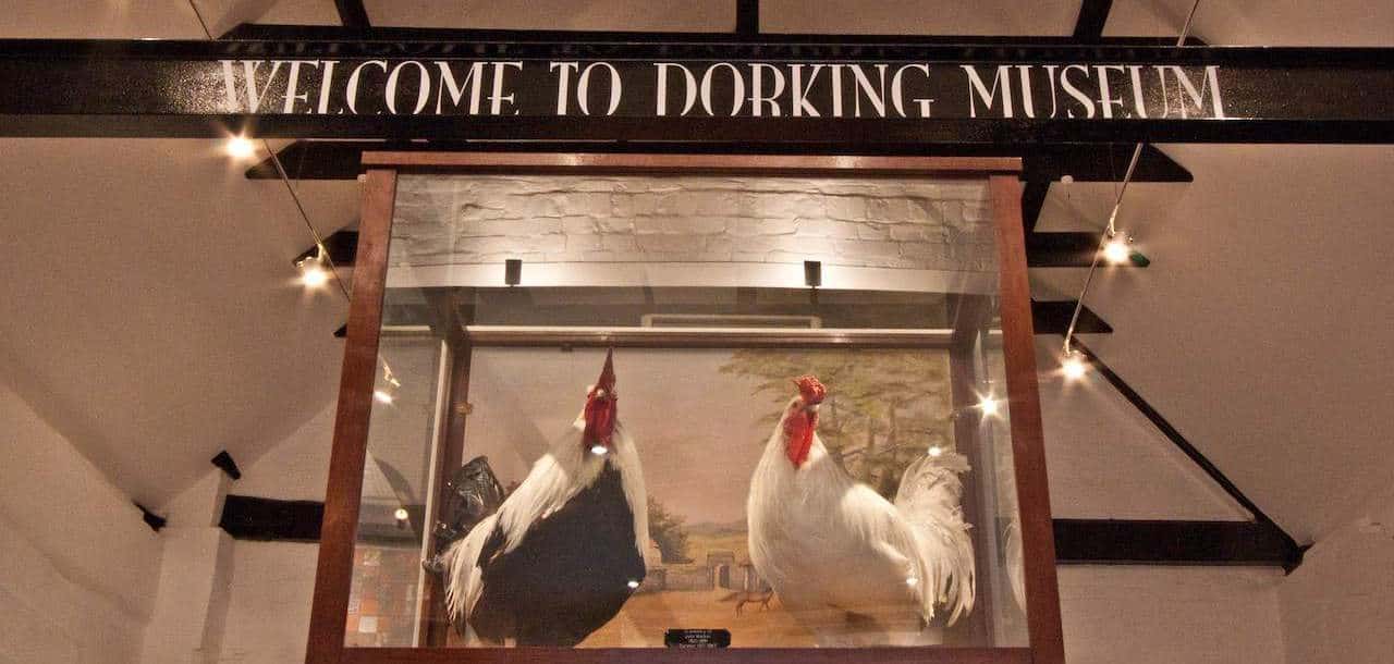 dorking-museum-entrance - Dorking Museum & Heritage Centre